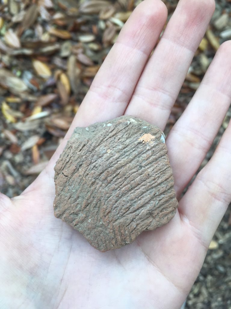 What Can We Learn Using Archaeology?