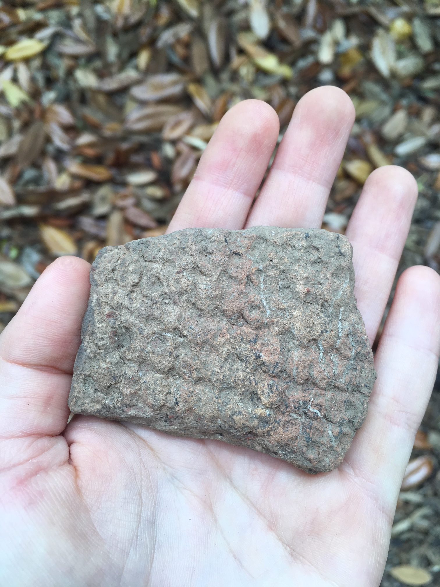 What Can We Learn Using Archaeology?