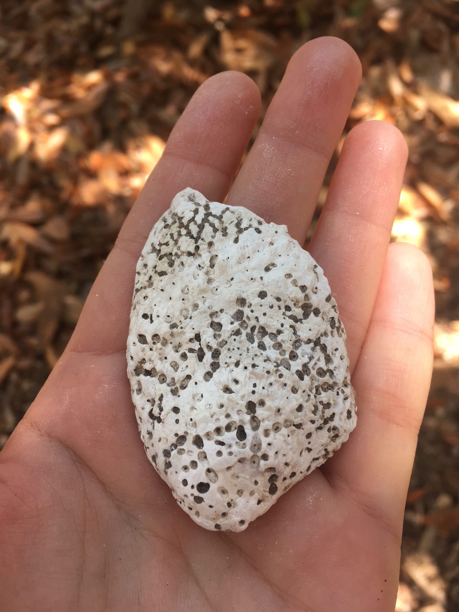 Environment and Geography