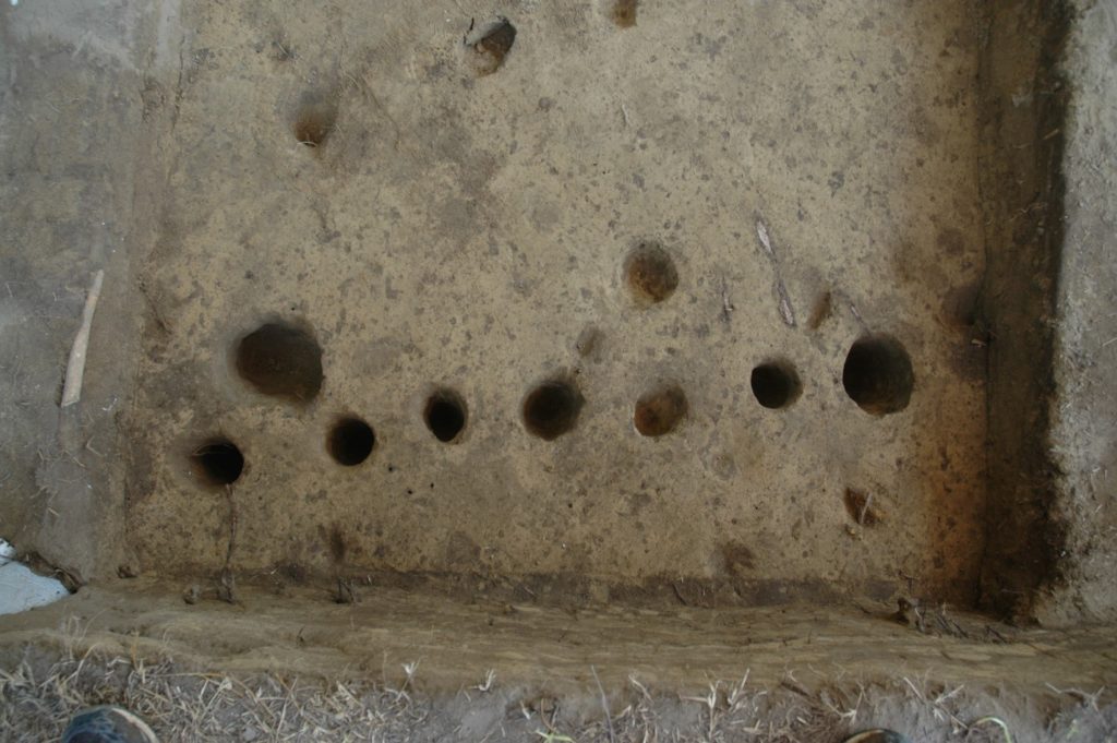 Archaeology Basics
